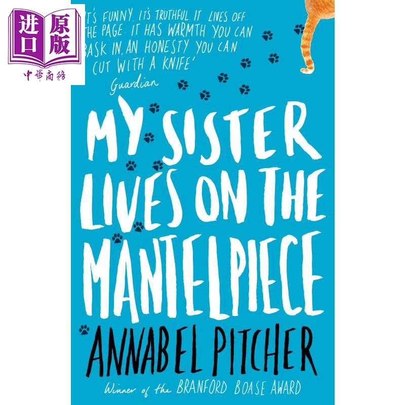我的姐姐住在壁炉上 豆瓣高分 英文原版 My Sister Lives on the Mantelpiece Annabel Pitcher【中商原版】