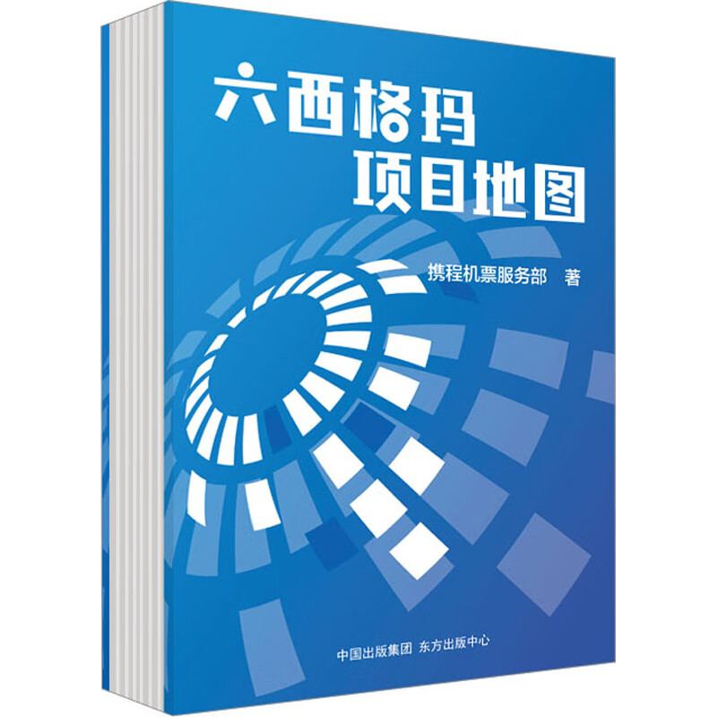 六西格玛项目地图 图书