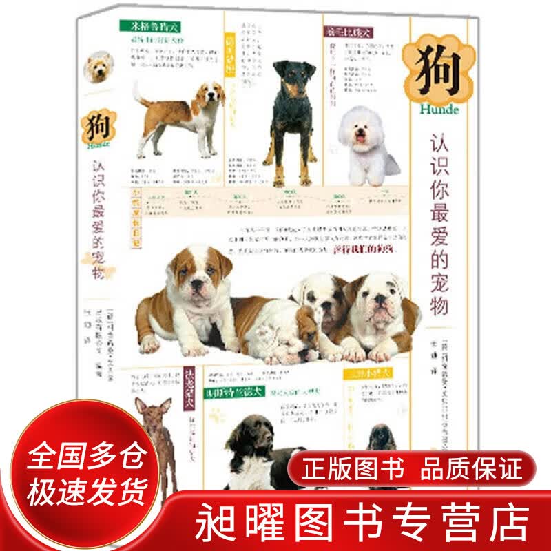 狗 认识你 爱的宠物【精选】