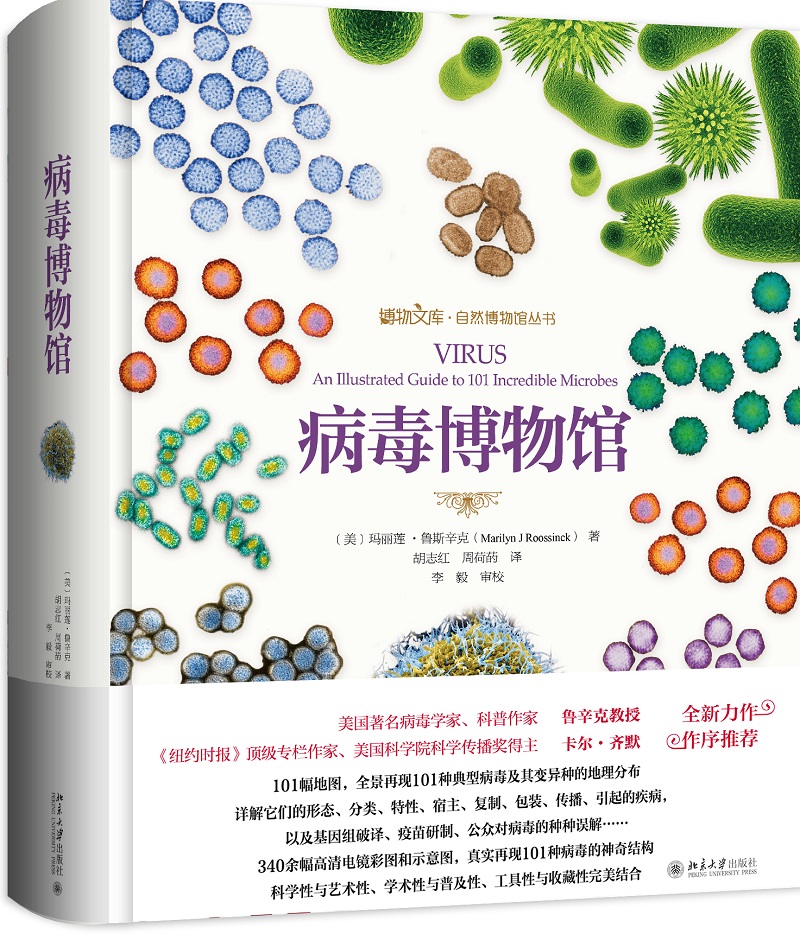 病毒博物馆 博物文库
