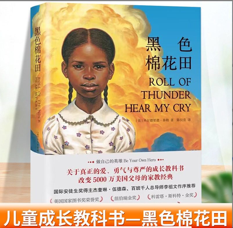 黑色棉花田（精装） 黑色棉花田 无规格