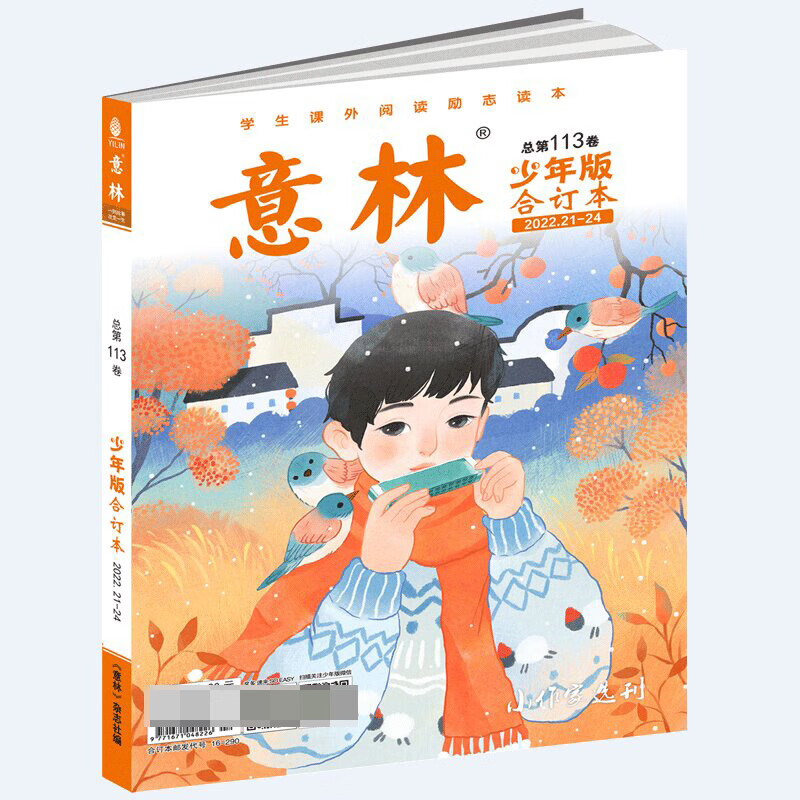 《意林·少年版》合订本 13卷