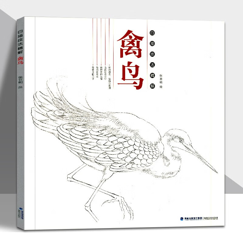 【现货速发】白描技法精解禽鸟 工笔画白描勾线画谱临摹绘画初学者入门到精通基础教程 国画写意草虫禽鸟工笔花鸟画白描底稿线描 福建美术