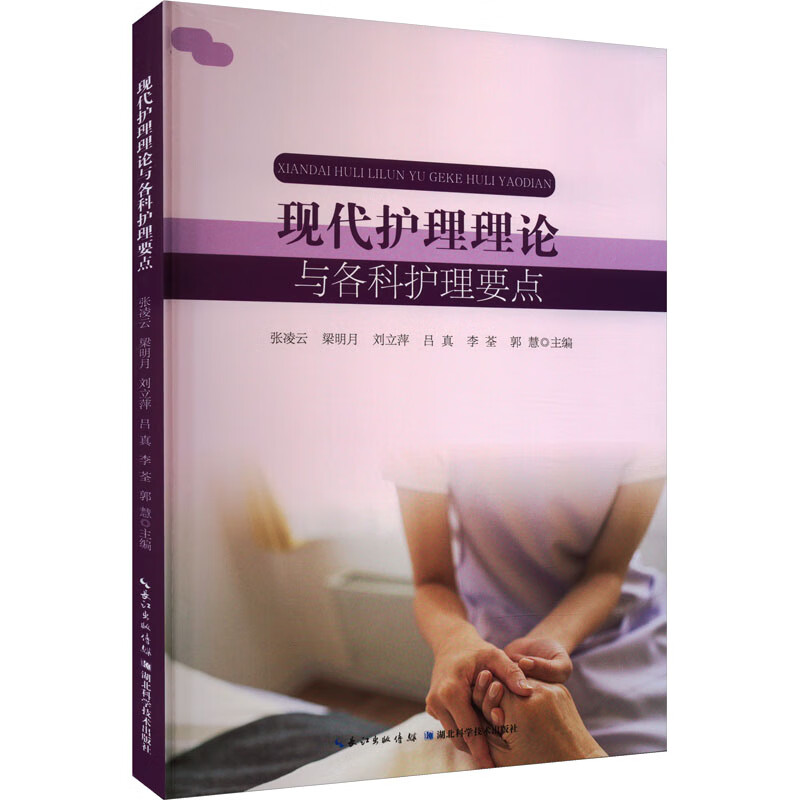 现代护理理论与各科护理要点 图书