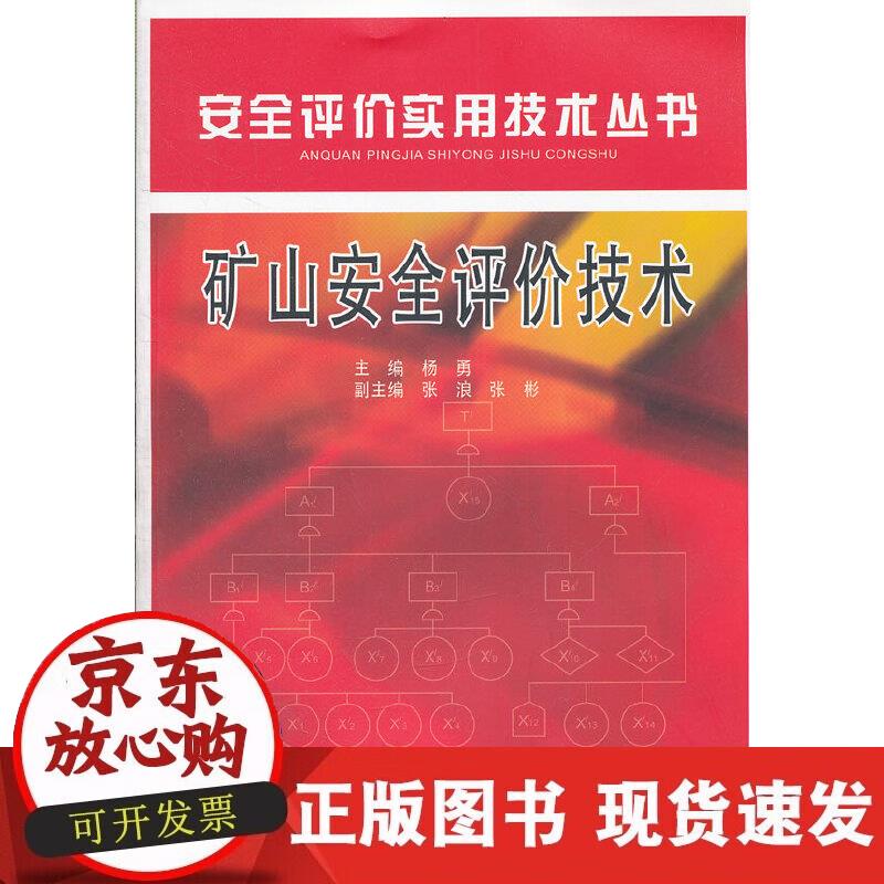【现货】矿山安全评价技术