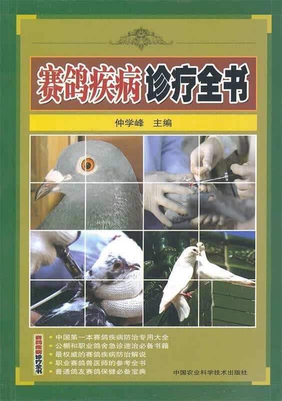 赛鸽疾病诊疗全书(一版一印)