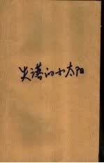 失落的小太阳拐卖儿童纪实
