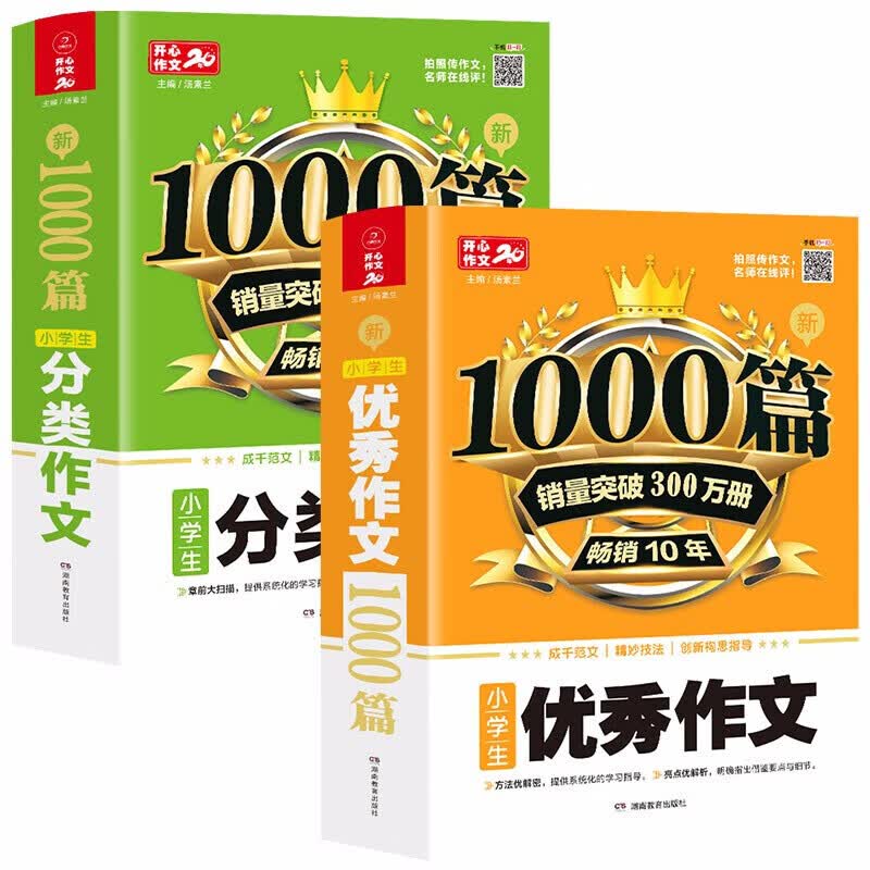 少年游中国趣写好作文小学生旅游游记写景作文（共2册）自然人文景观作文素材写作技巧作文大全 小学生分类+作文2册