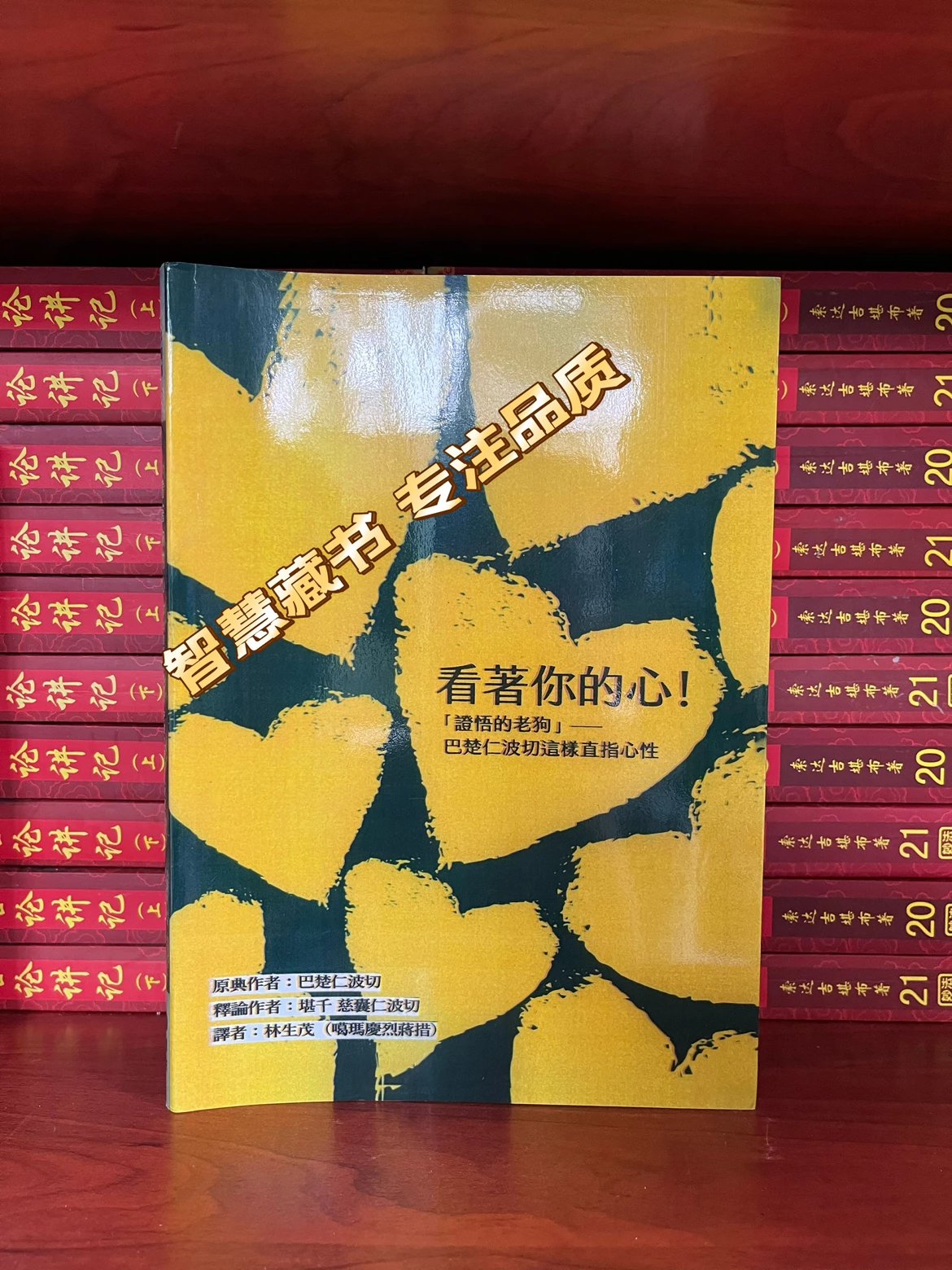 看着你的心 证悟的老狗 巴楚仁波切这样直指心性 印版高清