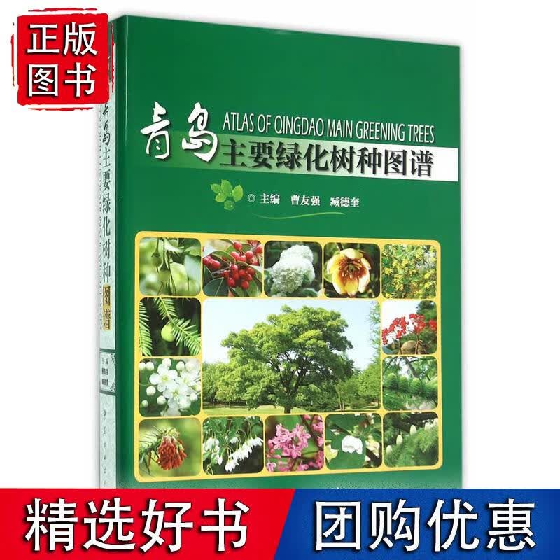 青岛主要绿化树种图谱