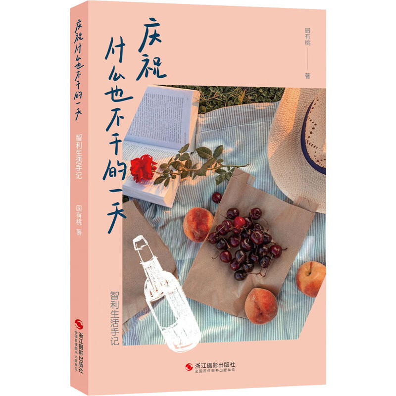 庆祝什么也不干的一天 智利生活手记 图书