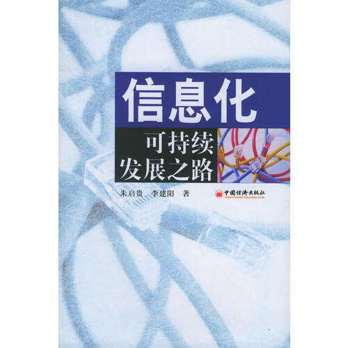 信息化可持续发展之路【好书】