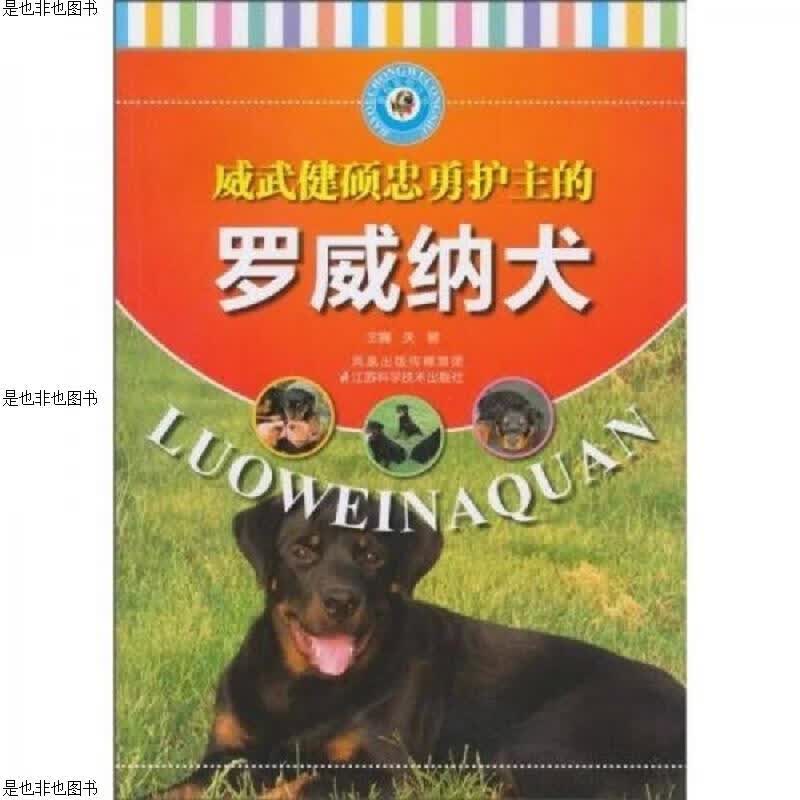 威武健硕忠勇护主的罗威纳犬