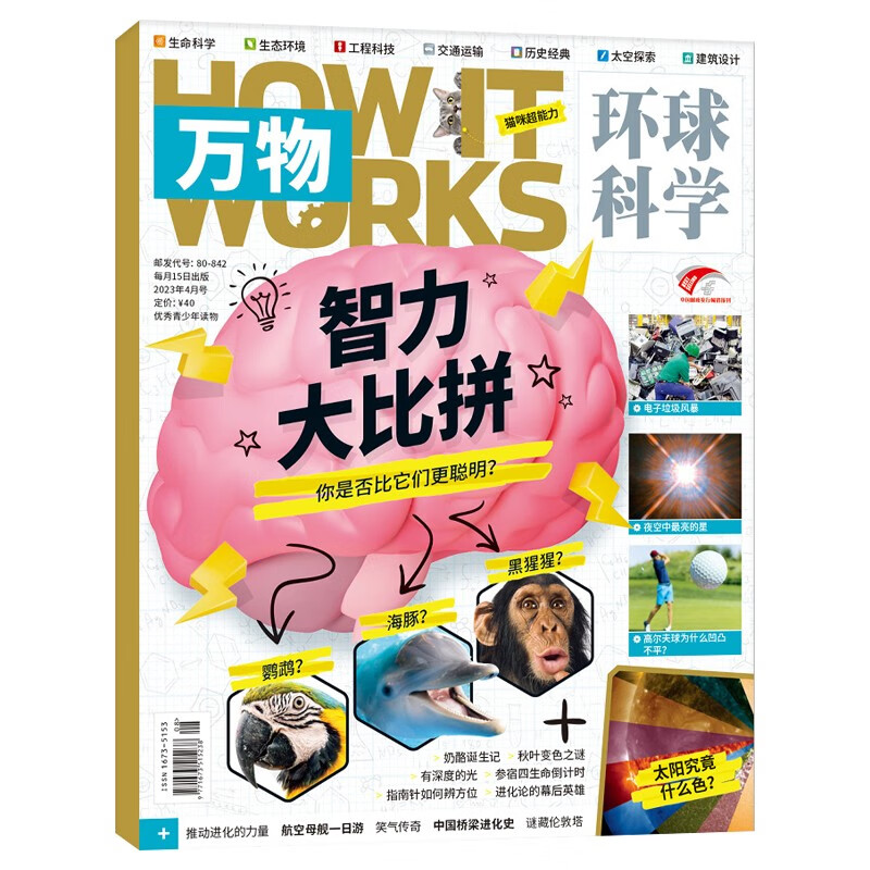 【2023年1-7月现货】万物 杂志2023年1/2/3/4/5/6/7期 打包 中小学生科普百科 青少年课外阅读How it works 中文版 适合8-15岁 2023年4月 【智力大比拼】