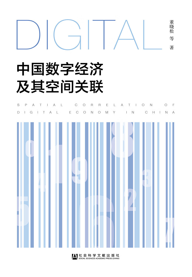 中国数字经济及其空间关联