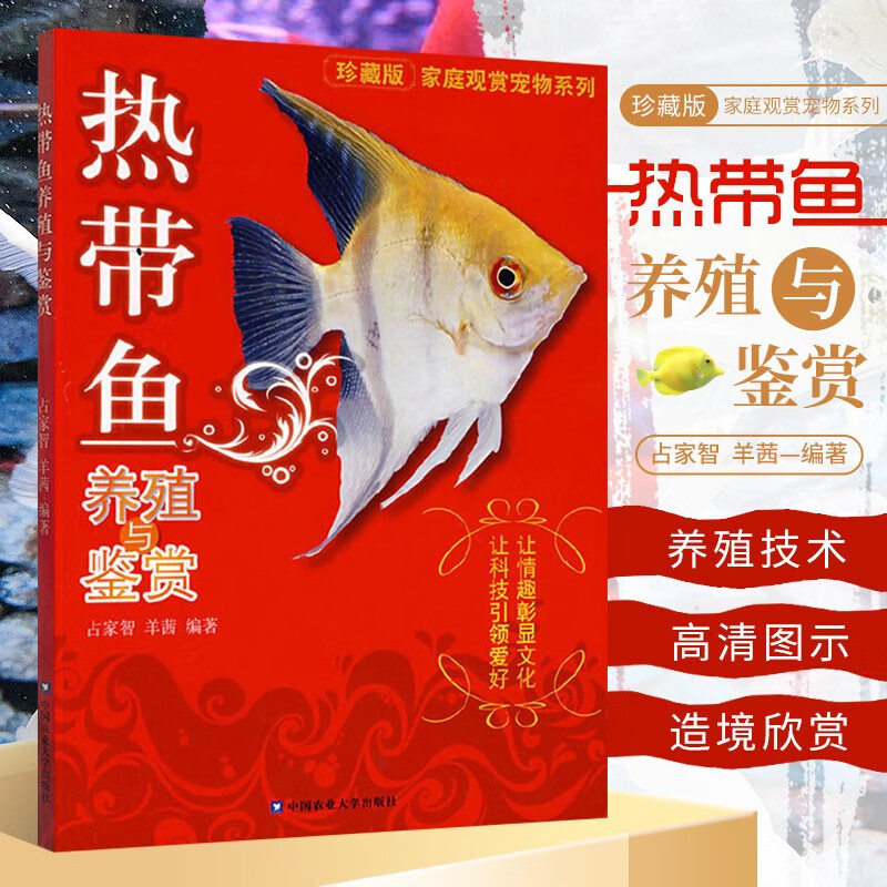 热带鱼养殖与鉴赏 珍藏版 家庭观赏宠物系列丛书 热带鱼家庭养殖技术大全书 热带鱼养护常识 热带鱼品种识别鉴赏速查图谱书 热带鱼鱼缸水草造景技术 家庭宠物鱼养殖技术书