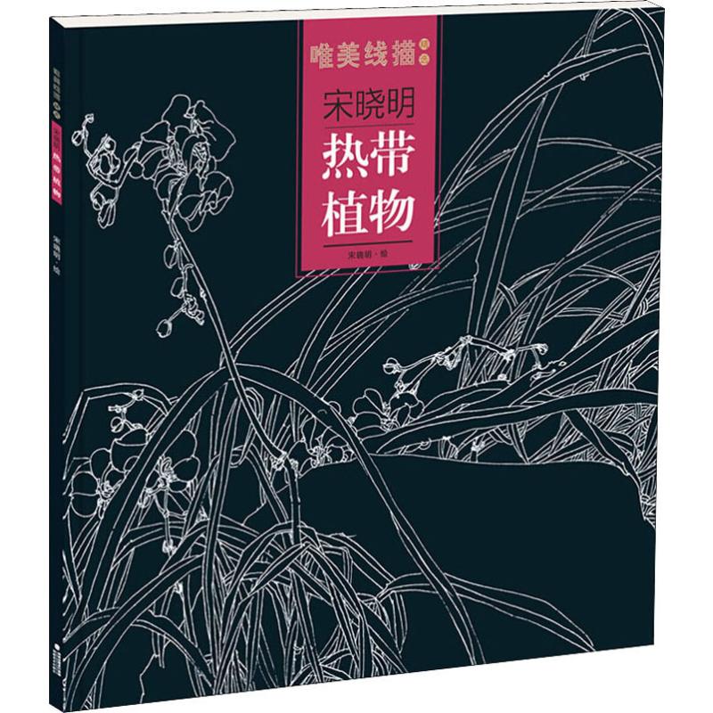 唯美线描精选 宋晓明 热带植物