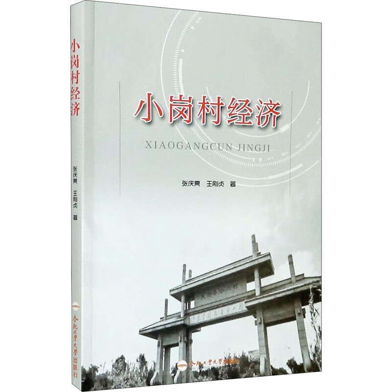 小岗村经济