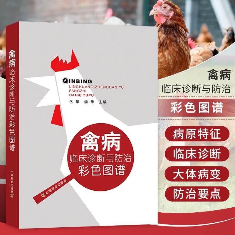 禽病临床诊断与防治彩色图谱 养鸡书籍大全 鸡病防治及安全用药 鸡病快速诊断与防治技术技术 鸡养殖书籍大全鸡养殖教程大全书籍