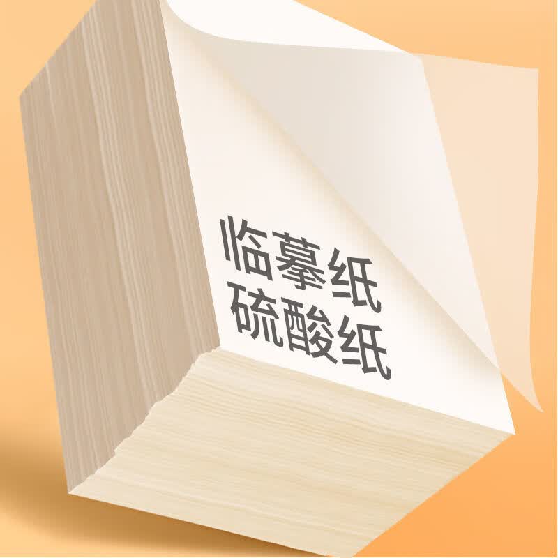 手写体练习字帖本成年好好练字行草楷书钢笔硬笔临摹男生练字帖网红女生字体漂亮行书大学生书法霸气字帖 【专用纸】临摹纸500张