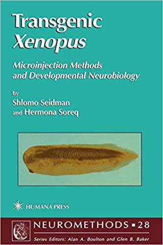 Transgenic Xenopus