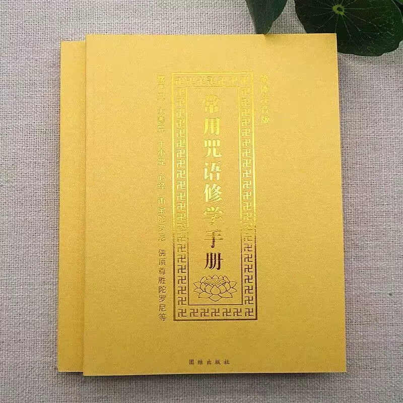 楞严咒大悲咒诸佛菩萨心咒佛顶圣尊陀罗尼注音诵读本大字简体64开