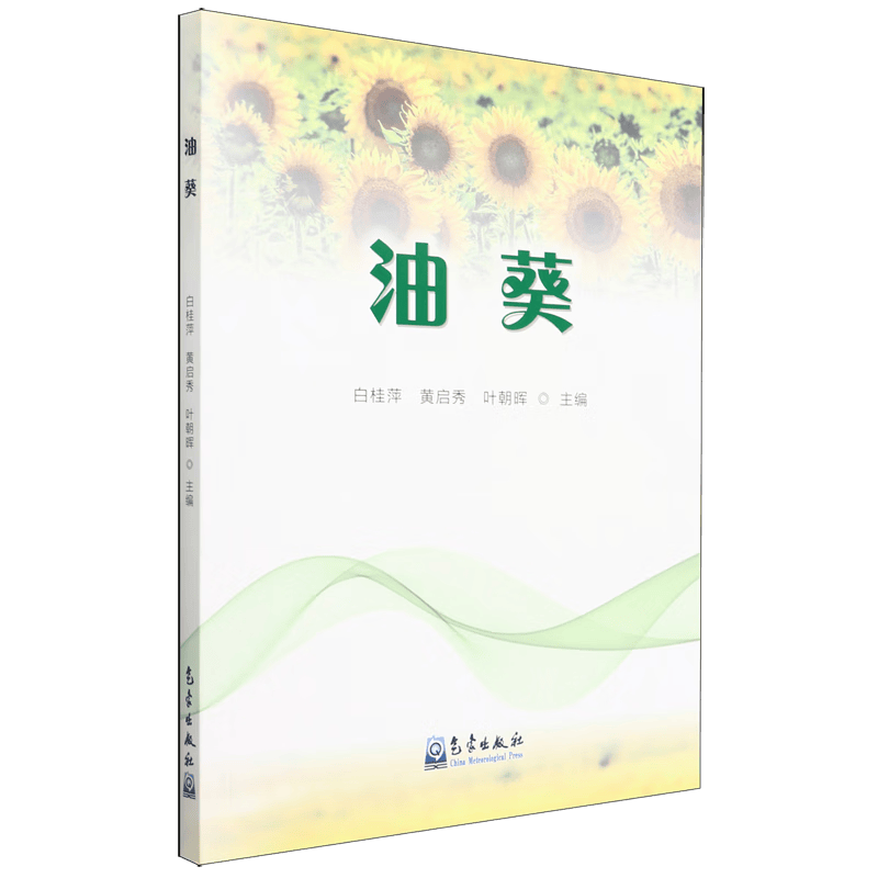 油葵