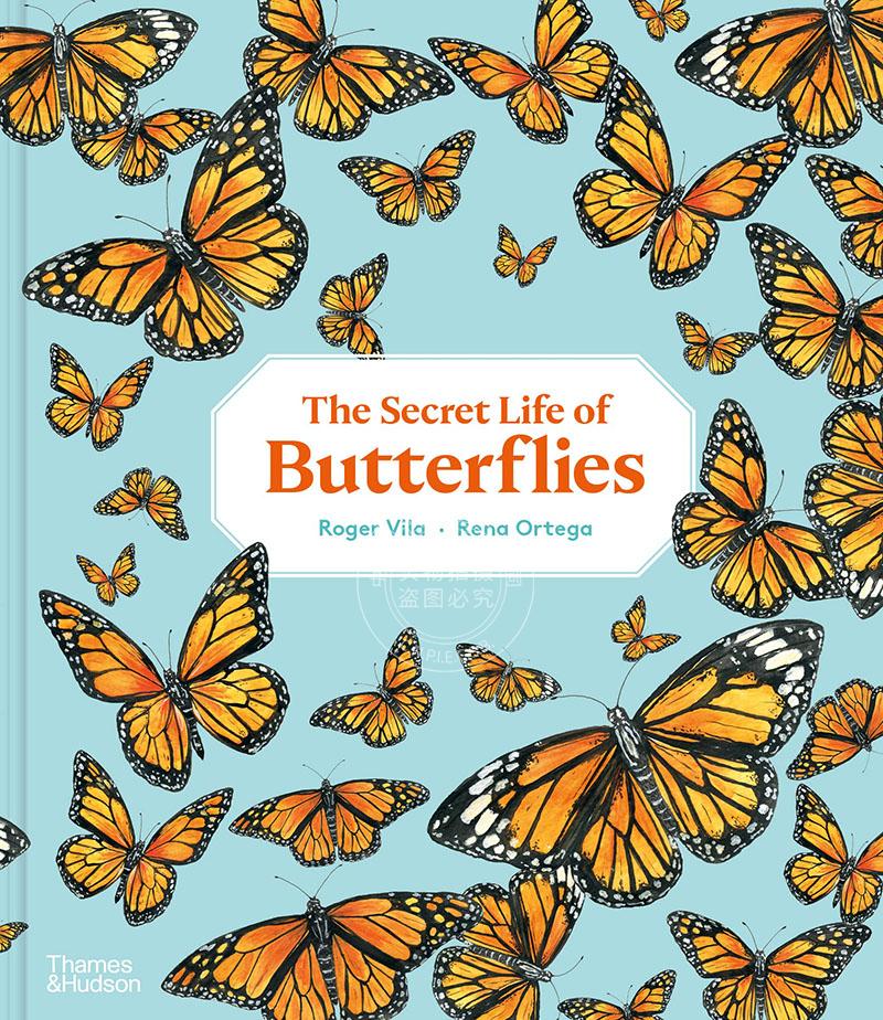 蝴蝶的秘密 英文原版 The Secret Life of Butterflies