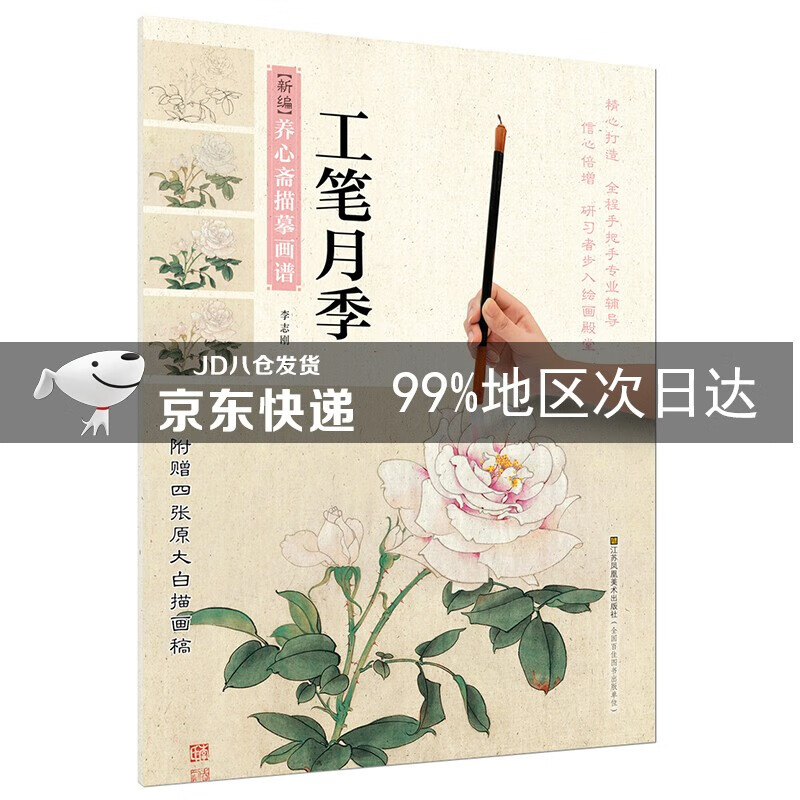 新编养心斋描摹画谱 工笔月季
