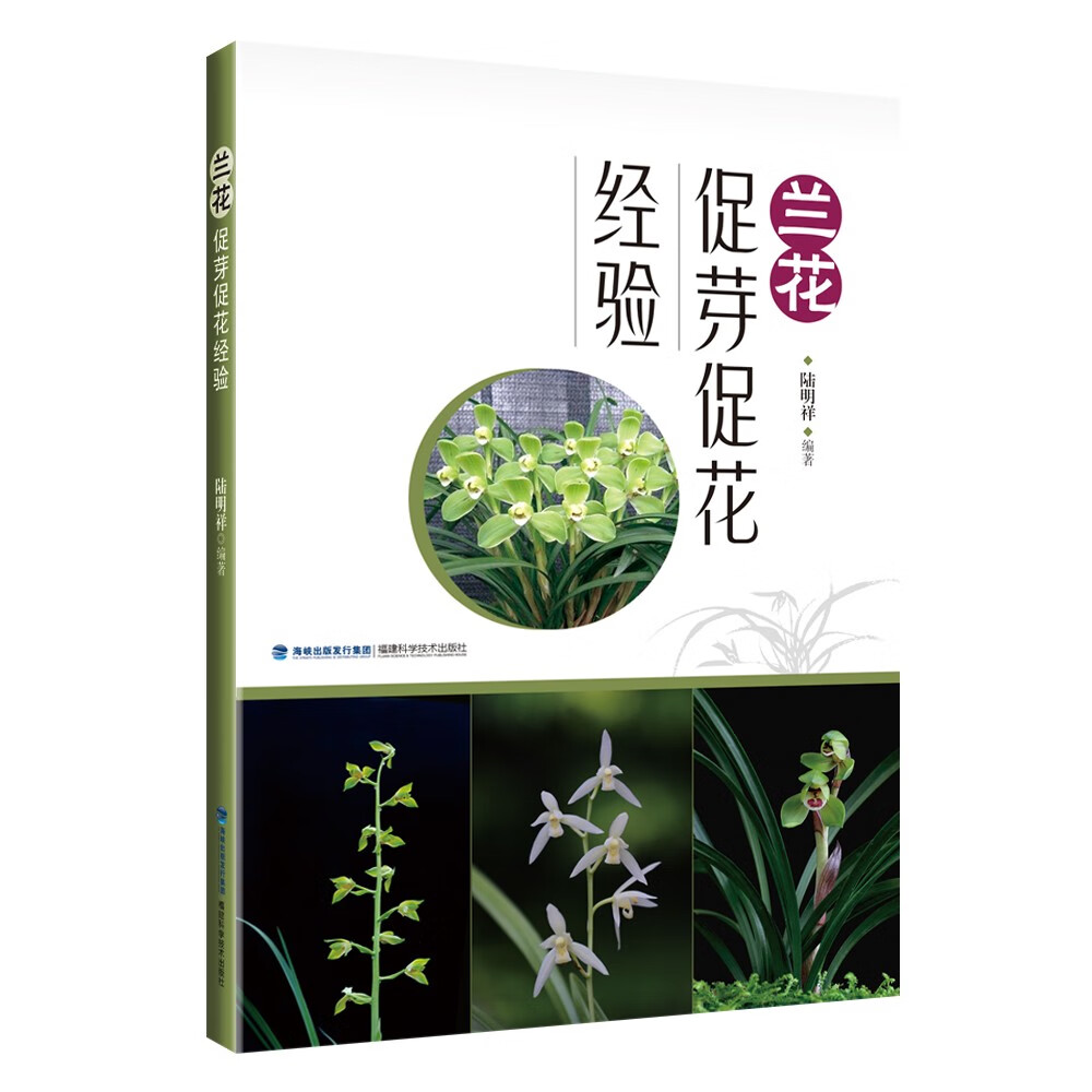 兰花促芽促花经验
