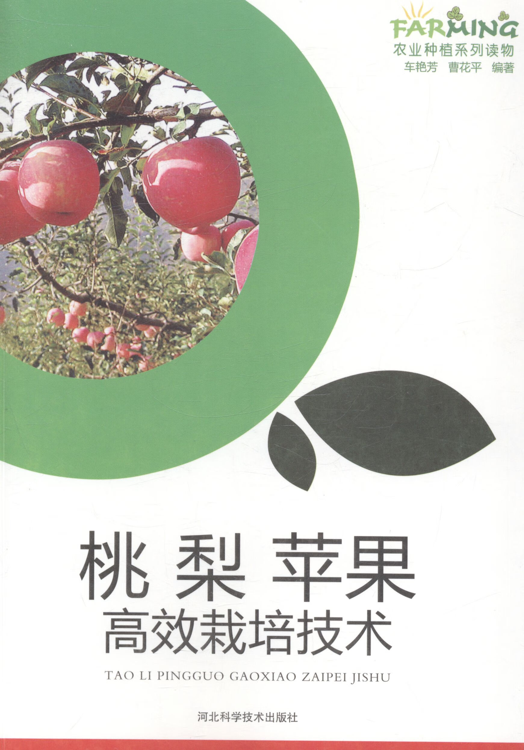 桃 梨 苹果高校栽培技术 体育/运动 车艳芳，曹花平编著 河北科学技术出版社 97875375652