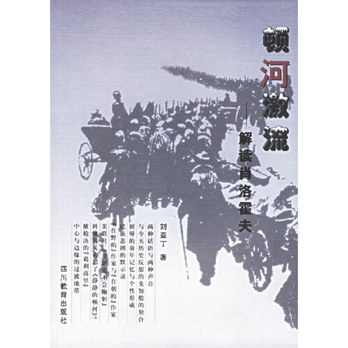 顿河激流 解读肖洛霍夫 刘亚丁【好书，下单速发】