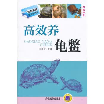 现货:高效养龟鳖 朱新平 9787111467182