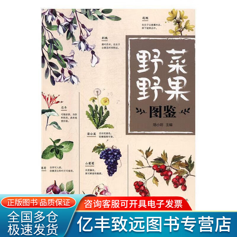【书】野菜野果图鉴