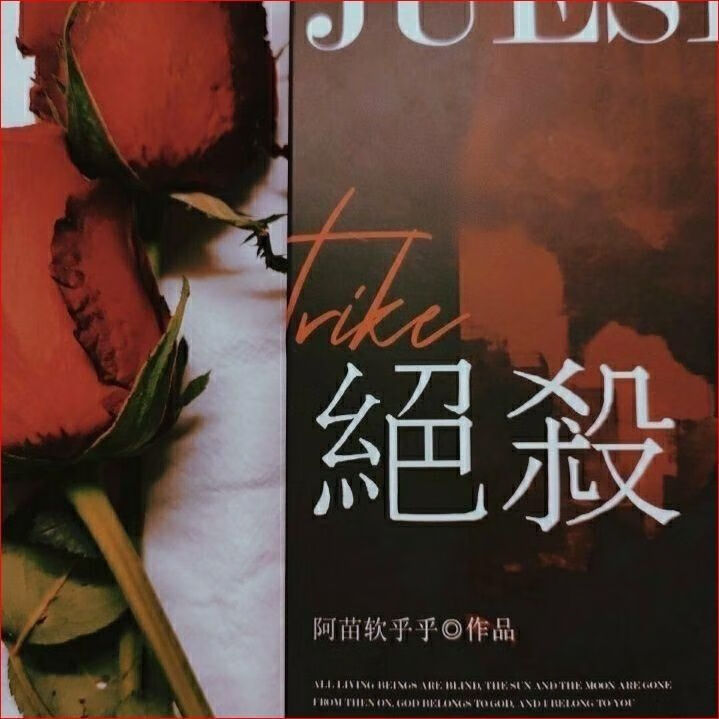 绝杀防弹少年团橙光文本实体书全集无删减