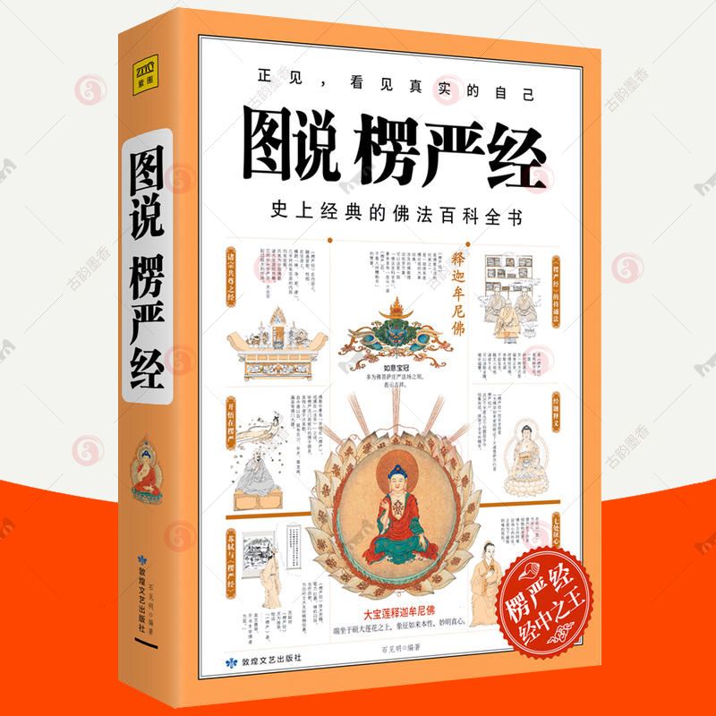 图说楞严经经典佛法百科全书图解版楞严经文白话文讲义大佛顶首楞严经读记图解楞严经佛学入门基础知识佛经佛