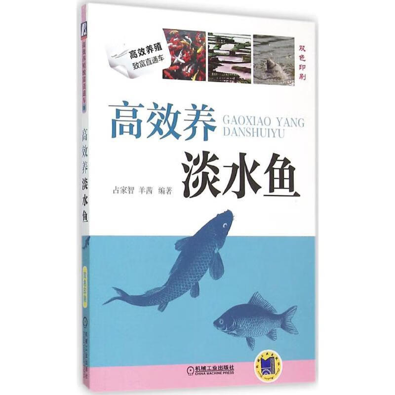 高效养淡水鱼