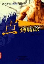 点穴疗法图解系列：点到病除9787534967993