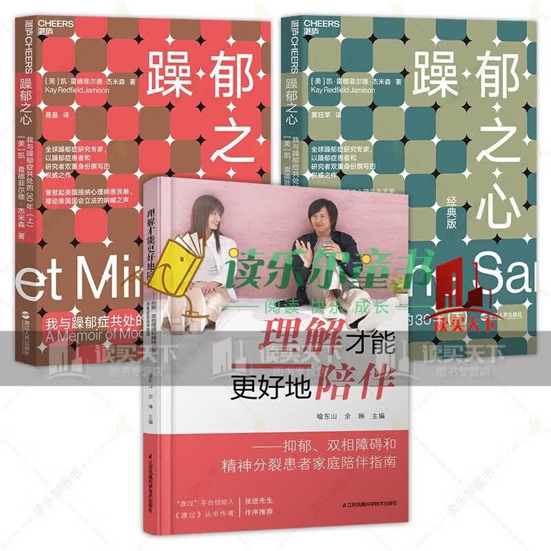 理解才能更好地陪伴抑郁双相障碍和精神分裂患者家庭陪伴指南+躁郁之心我与躁郁症共处的30年 经典版上下Y 书籍lgx 下Y 书籍