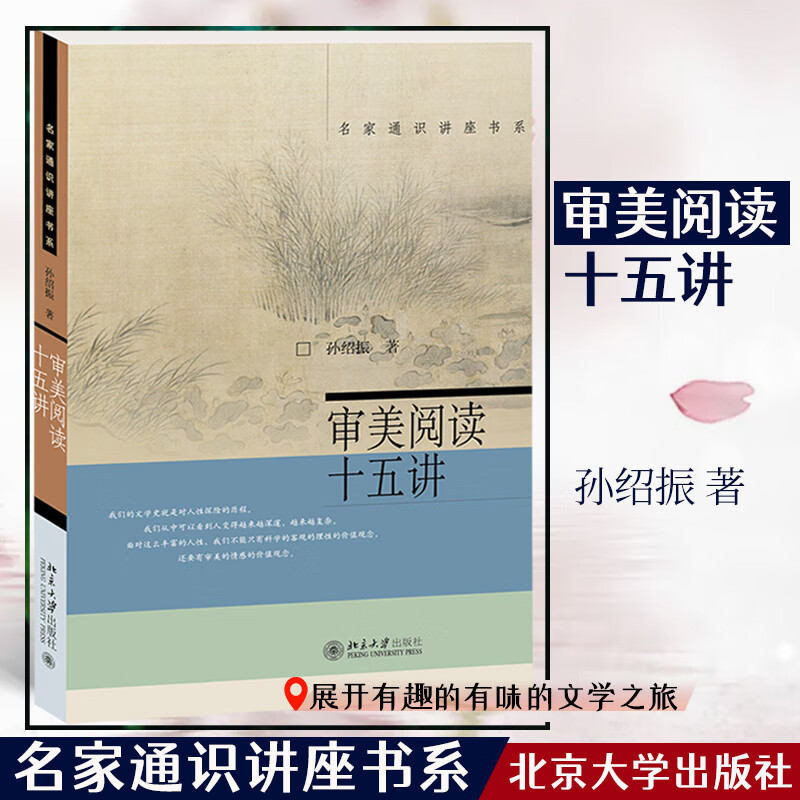 审美阅读十五讲 孙绍振 名家通识讲座书系