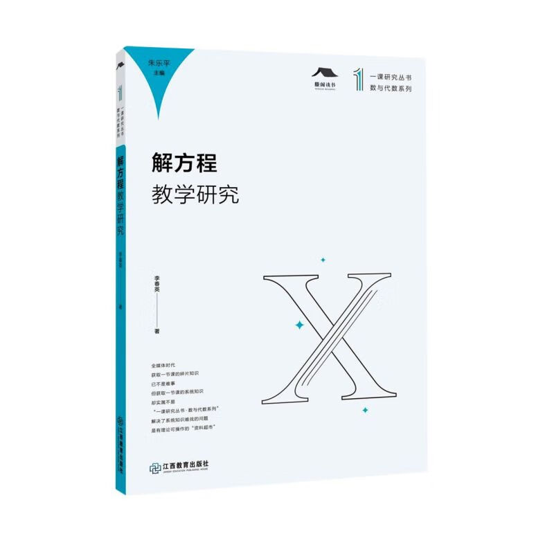 解方程教学研究/数与代数系列/一课研究丛书