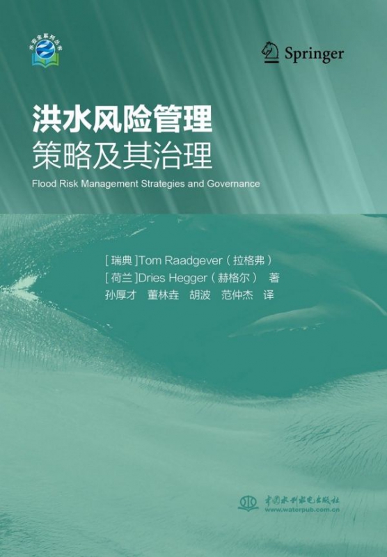 洪水风险管理策略及其治理/水安全系列丛书