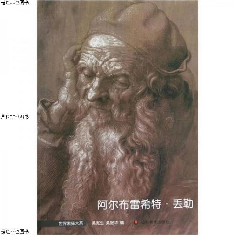 世界素描大系：阿尔布雷希特·丢勒