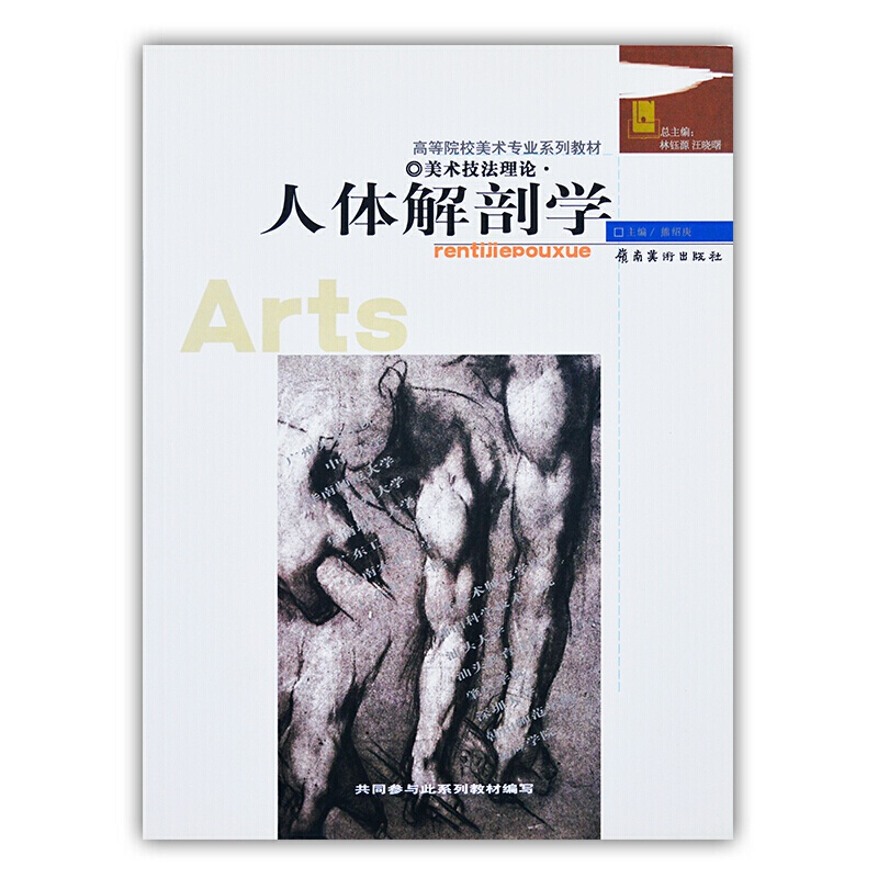 人体解剖学 美术技法理论 高等院校美术系列教材 人体骨骼肌肉五官素描速写教程书 绘画技法