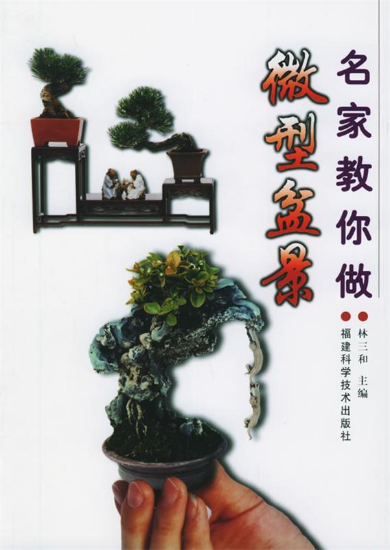 名家教你做微型盆景