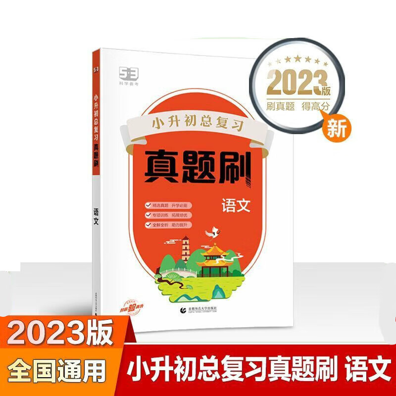 2023小升初总复习真题刷语文数学英语小学56年级真题分类复习冲刺 小升初总复习 语文