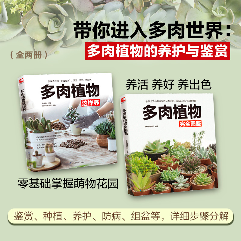 多肉植物全2册 多肉植物完全图鉴 多肉植物这样养 多肉植多肉植物图鉴 中信书店