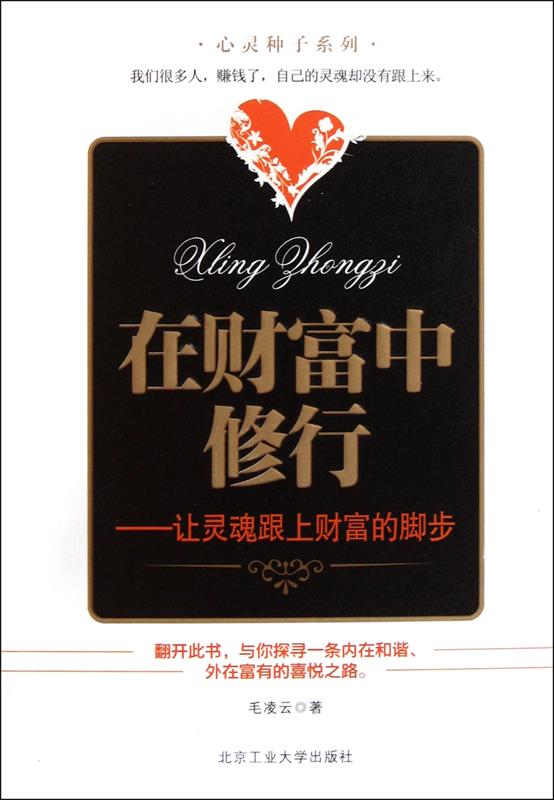 在财富中修行 让灵魂跟上财富的脚步 毛凌云 北京工业大学出版社
