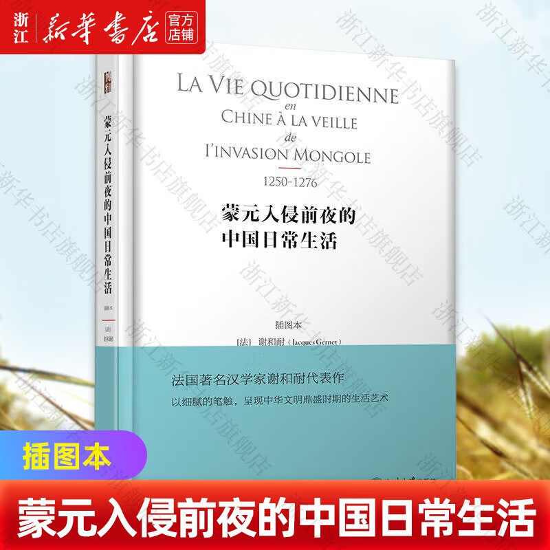 蒙元入侵前夜的中国日常生活(插图本)