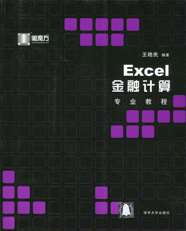 Excel 金融计算专业教程 王晓民 编著【书】